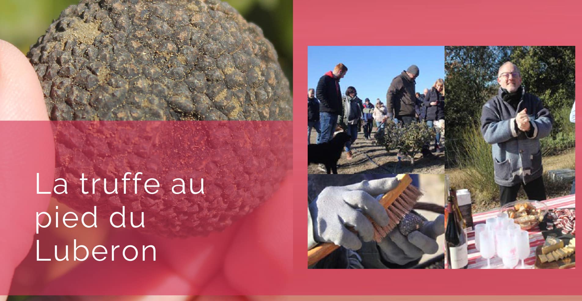 Expérience Unique de Truffe dans le Luberon - Hôtels Circuits France